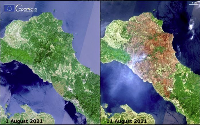 Ανάρτηση - Ντοκουμέντο του Κωστα Βαξεβάνη για τις φωτιες στην Ευβοια ...