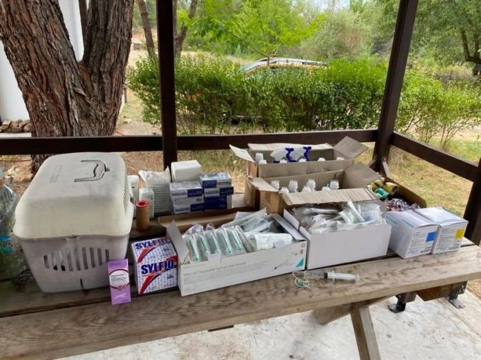 Δασος Δαδιας: Οι καταστροφικές συνέπειες της φωτιάς θα διαρκέσουν για ...