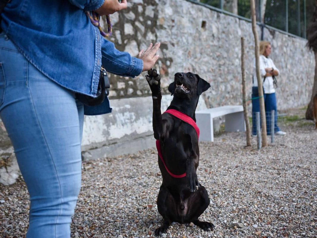 Θυμιζει κάτι απο σταθμό τρένου στο Μανχαταν ο νέος σταθμος Λαρισης