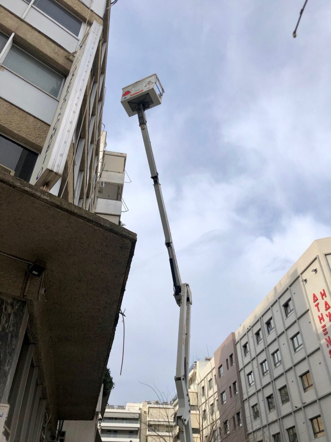 Ο Δήμος Αθηναίων φιλοξενεί και χελιδόνια!